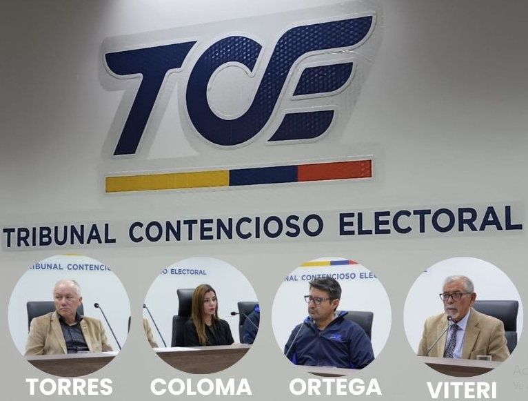 "Descalificación de Jan Topic como candidato presidencial es definitiva ...