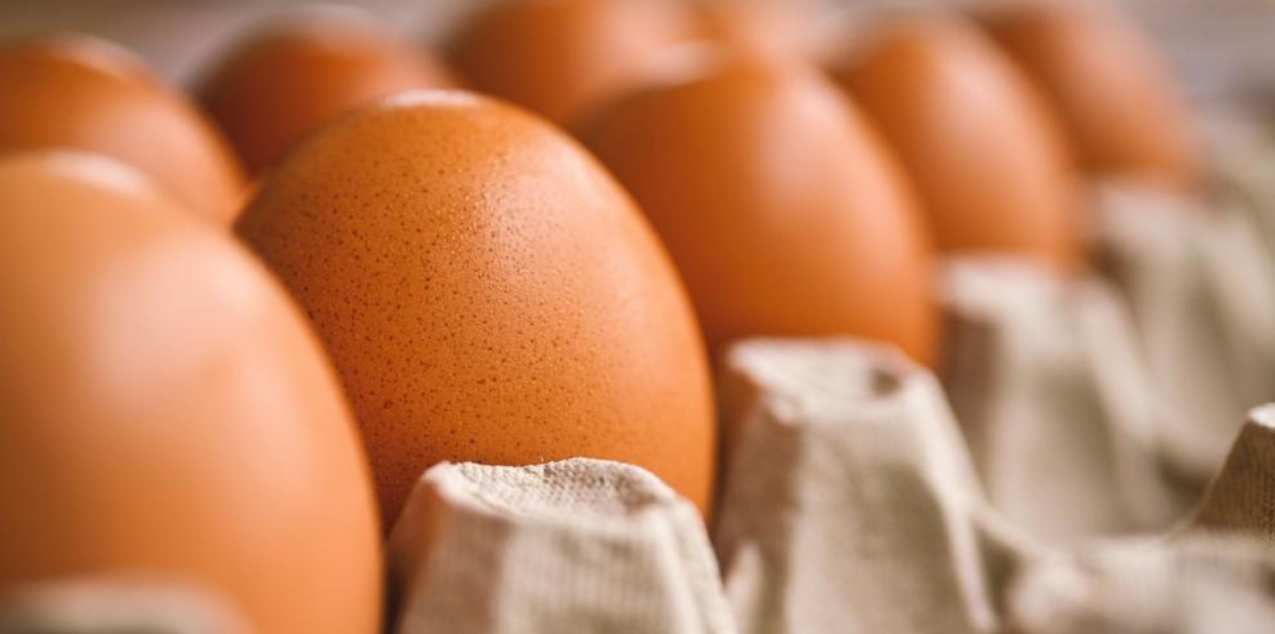 Pronaca decide mantener la producción de huevos y su marca Indaves en ...